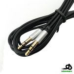 کابل AUX ریمکس مدل RL-L100 با طول 2 متری | فروشگاه اینترنتی هپتا